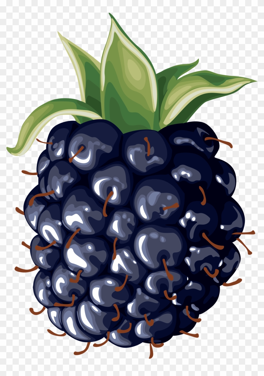 Blackberry Clipart - Clipart Suggest - Blackburied Pie [book] - Free ...